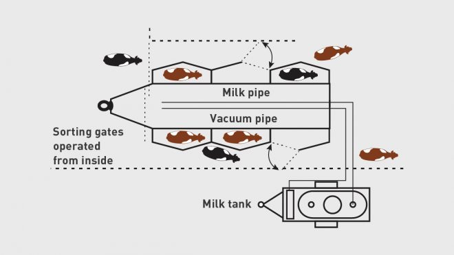 Tandem Parlor - Whitegold Technologies LLP